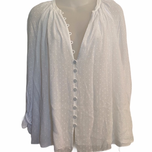 Zara | Tops | Zara White Blouse Lined Sheer With Ruffled Sleeve | Poshmark